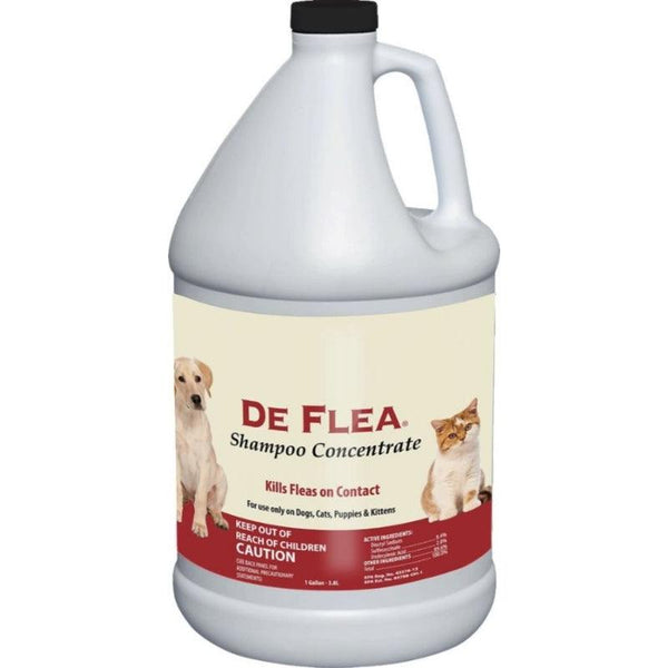 Miracle Care De Flea Shampoo Concentrate - 1 Gallon | K9 Blood Bite